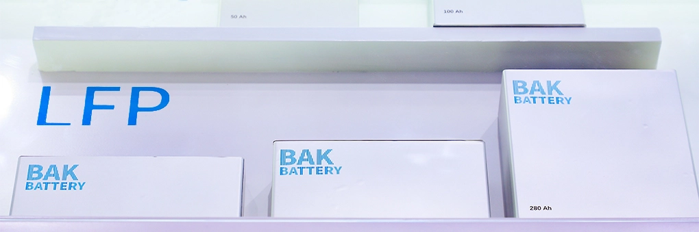 Golf Cart Battery Packs｜BAK EV