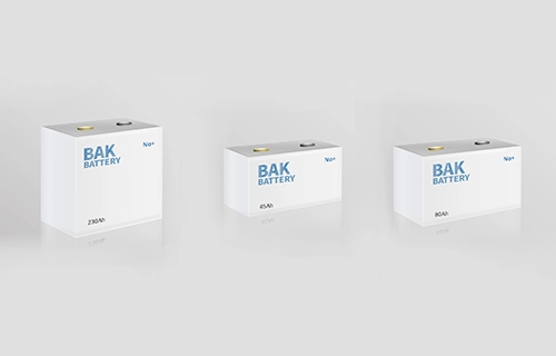 Why choose BAK EV as your partner?