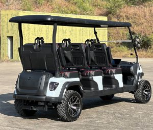 6 Seat Forward-Facing Golf Cart | BAK EV