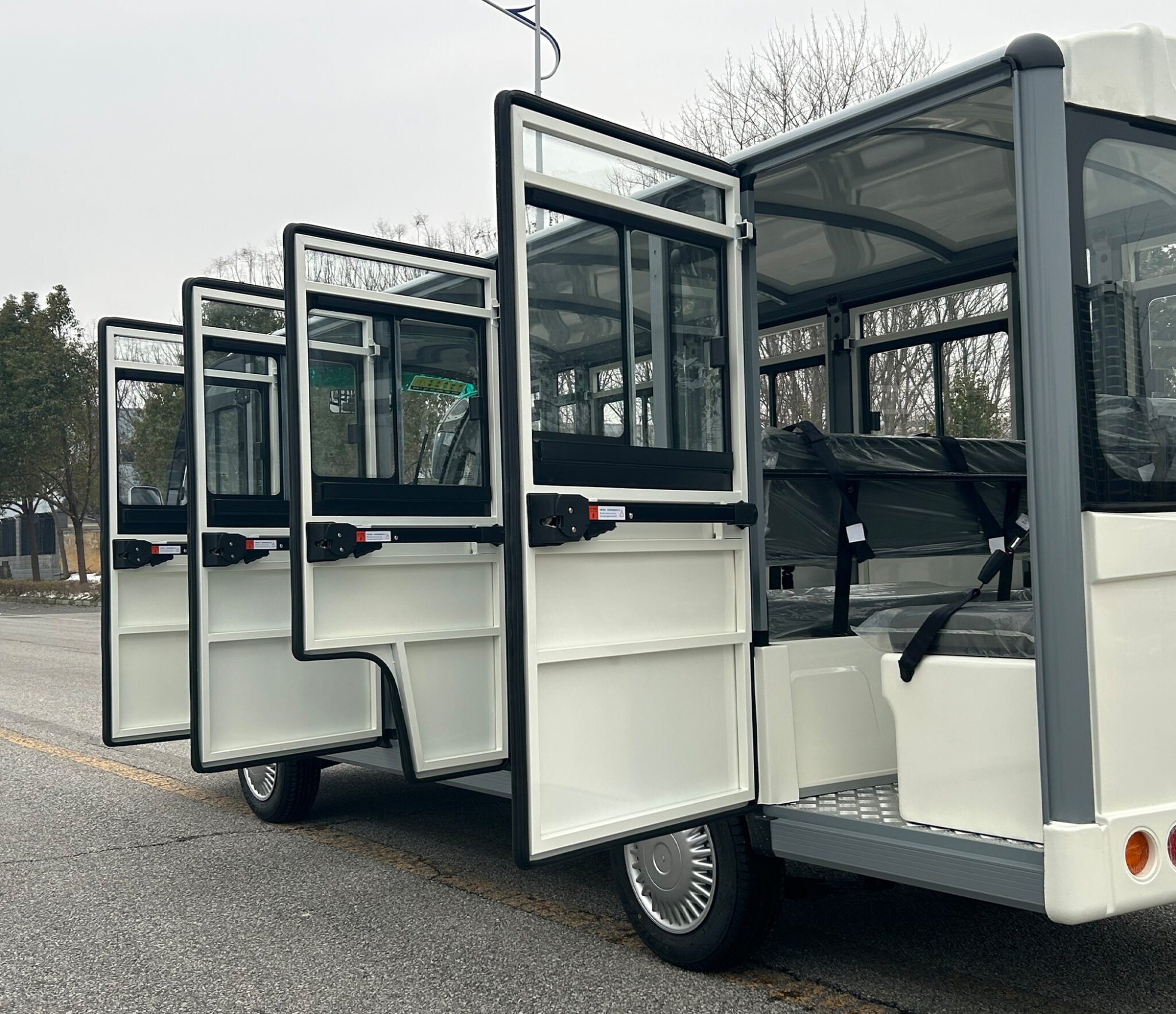 14 seater enclosed sightseeing car | BAK EV