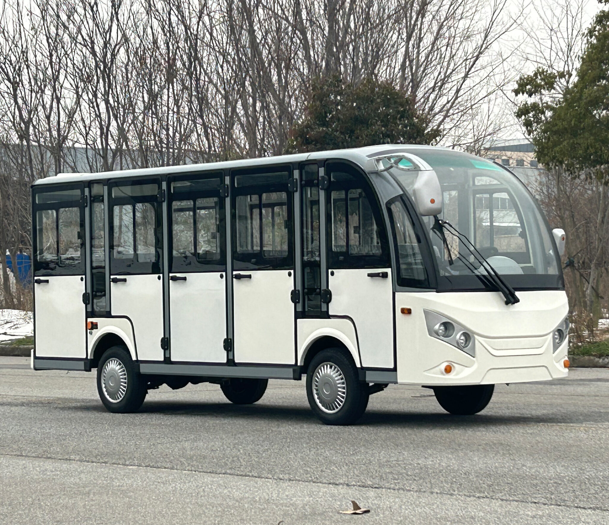 14 seater enclosed sightseeing car | BAK EV