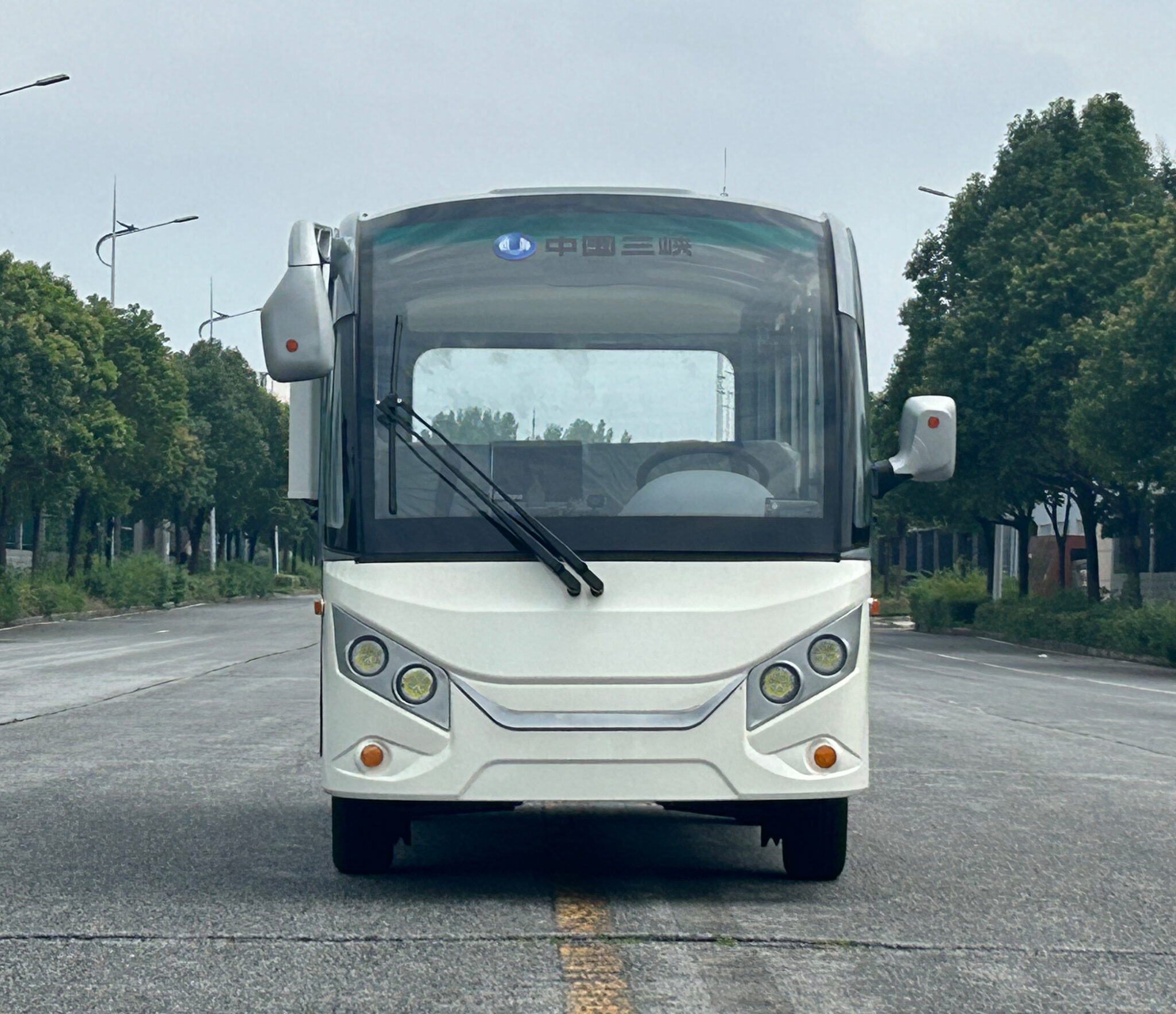 11 seater enclosed sightseeing car | BAK EV