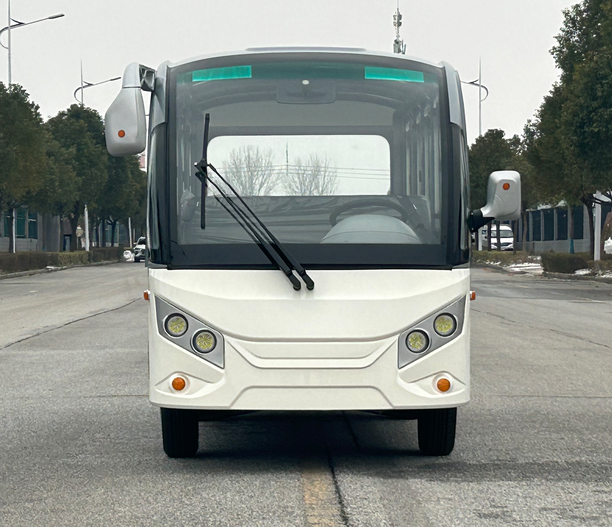 14 seater enclosed sightseeing car | BAK EV